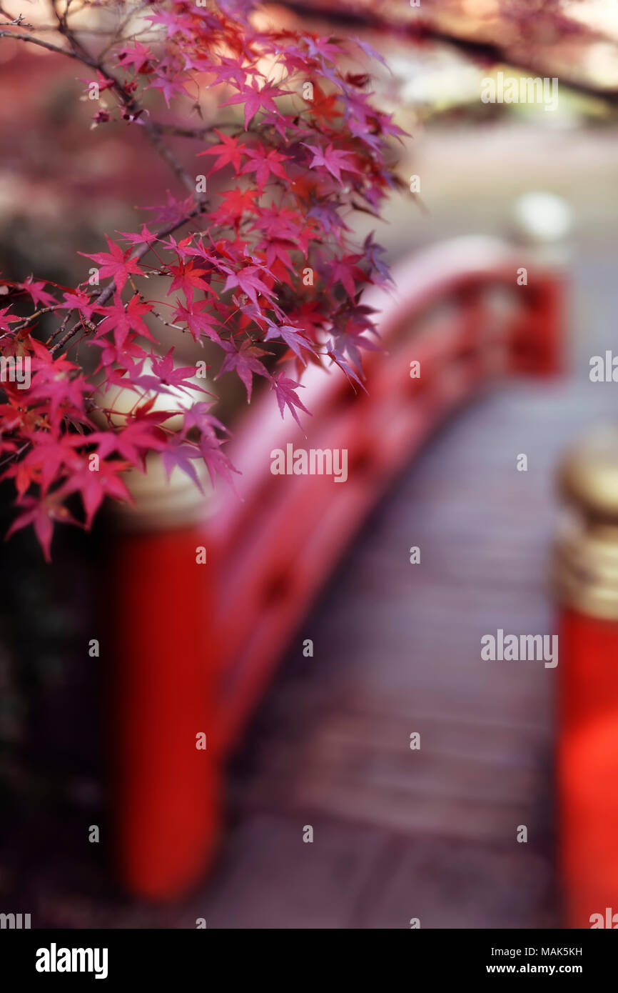 Red Japanese Bridge High Resolution Stock Photography and Images - Alamy