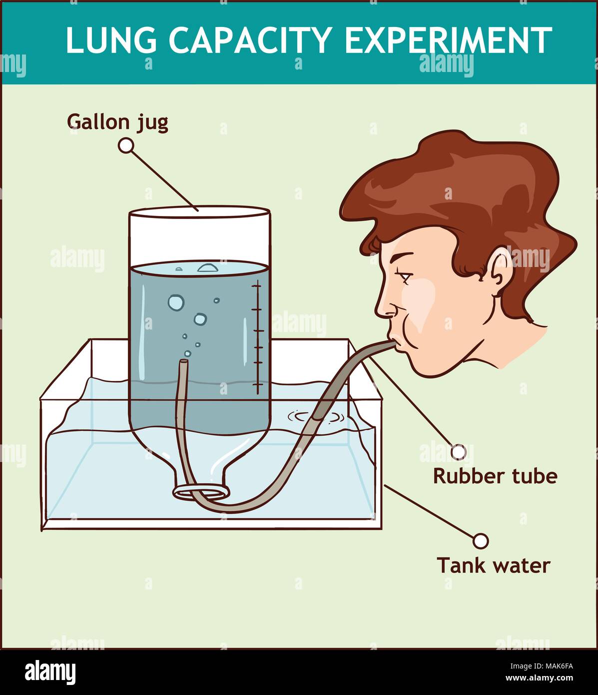 Lung capacity hi-res stock photography and images - Alamy