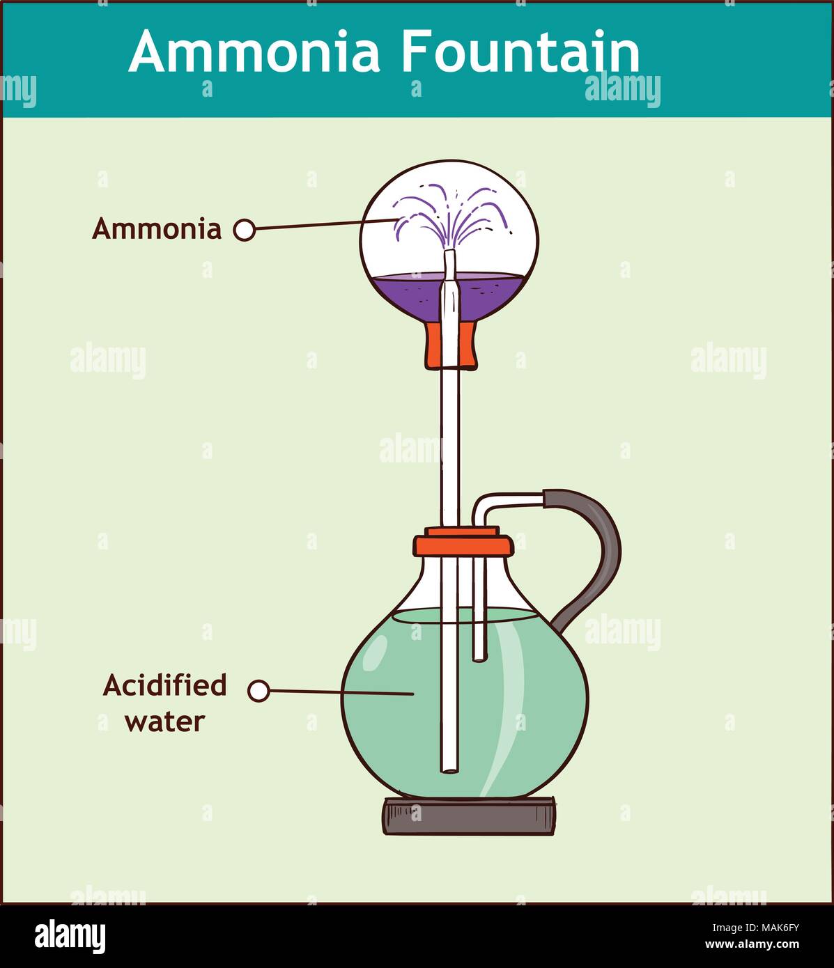 Solubility Experiment