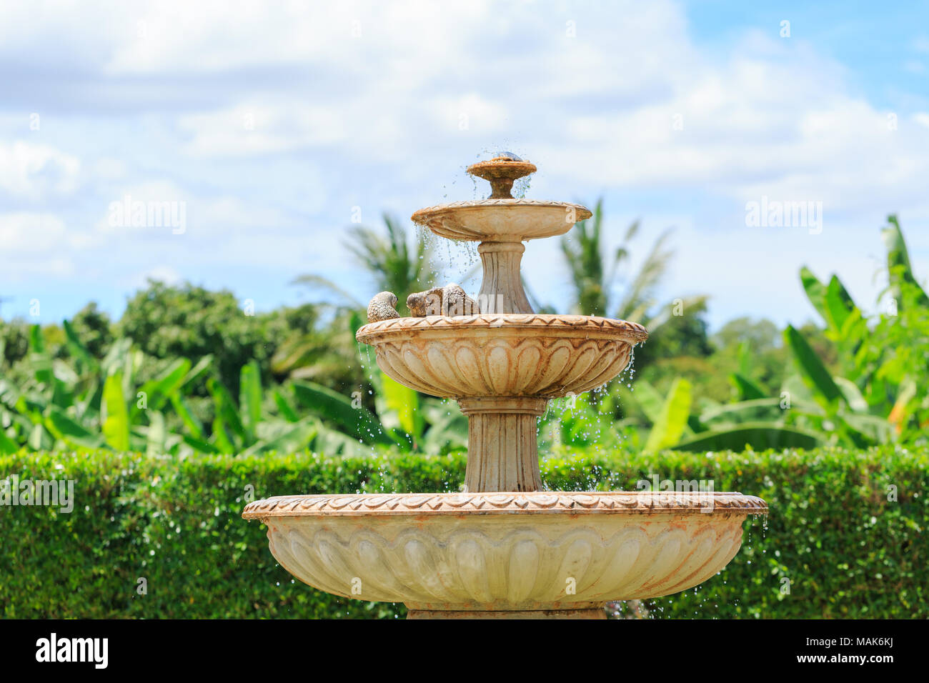 Pond fountain up close hi-res stock photography and images - Alamy