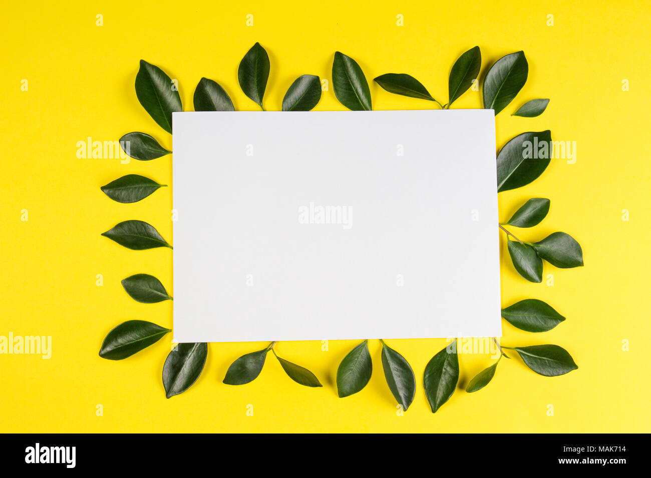 Green tree leaves frame with blank white card on yellow background ...