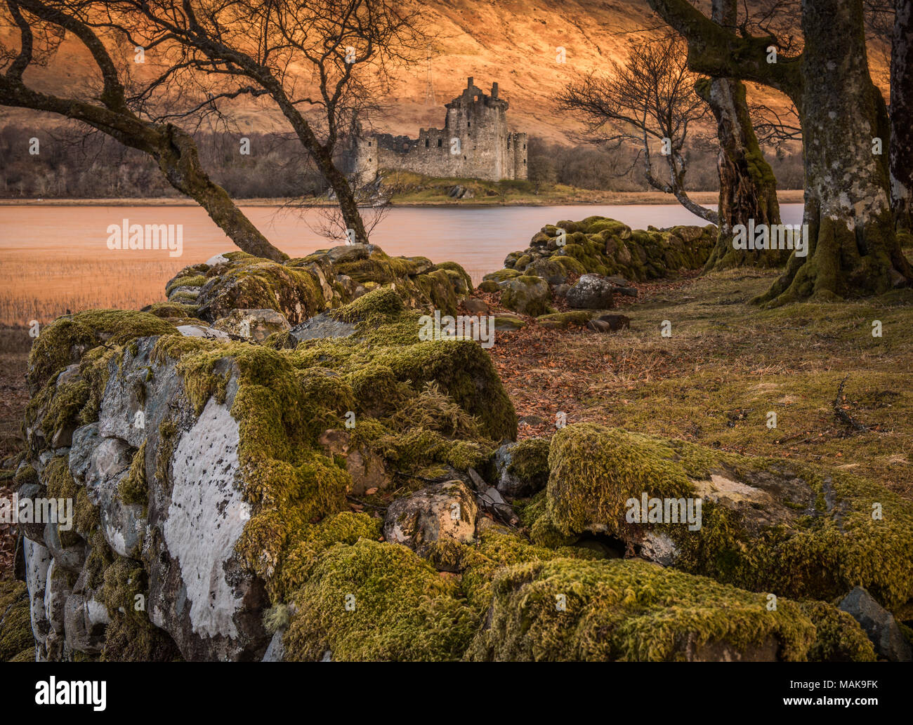 Castle wall with moss hi-res stock photography and images - Alamy