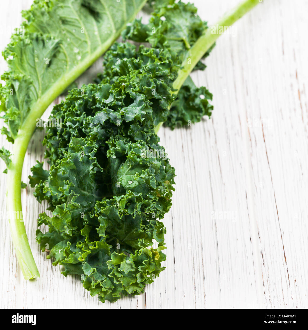 Kale or Leaf Cabbage Stock Photo - Alamy