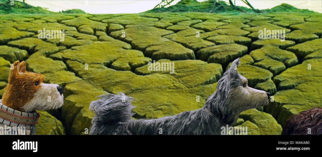 ISLE OF DOGS, from left, Boss (voice: Bill Murray), Duke (voice: Jeff ...