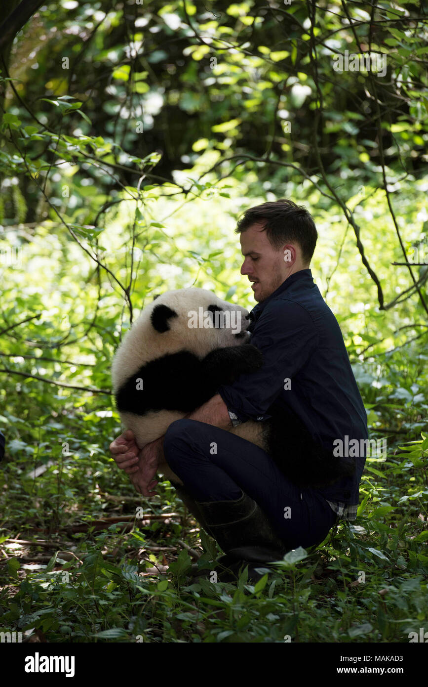 PANDAS, Jacob Owens, Chengdu Research Base of Giant Panda Breeding ...