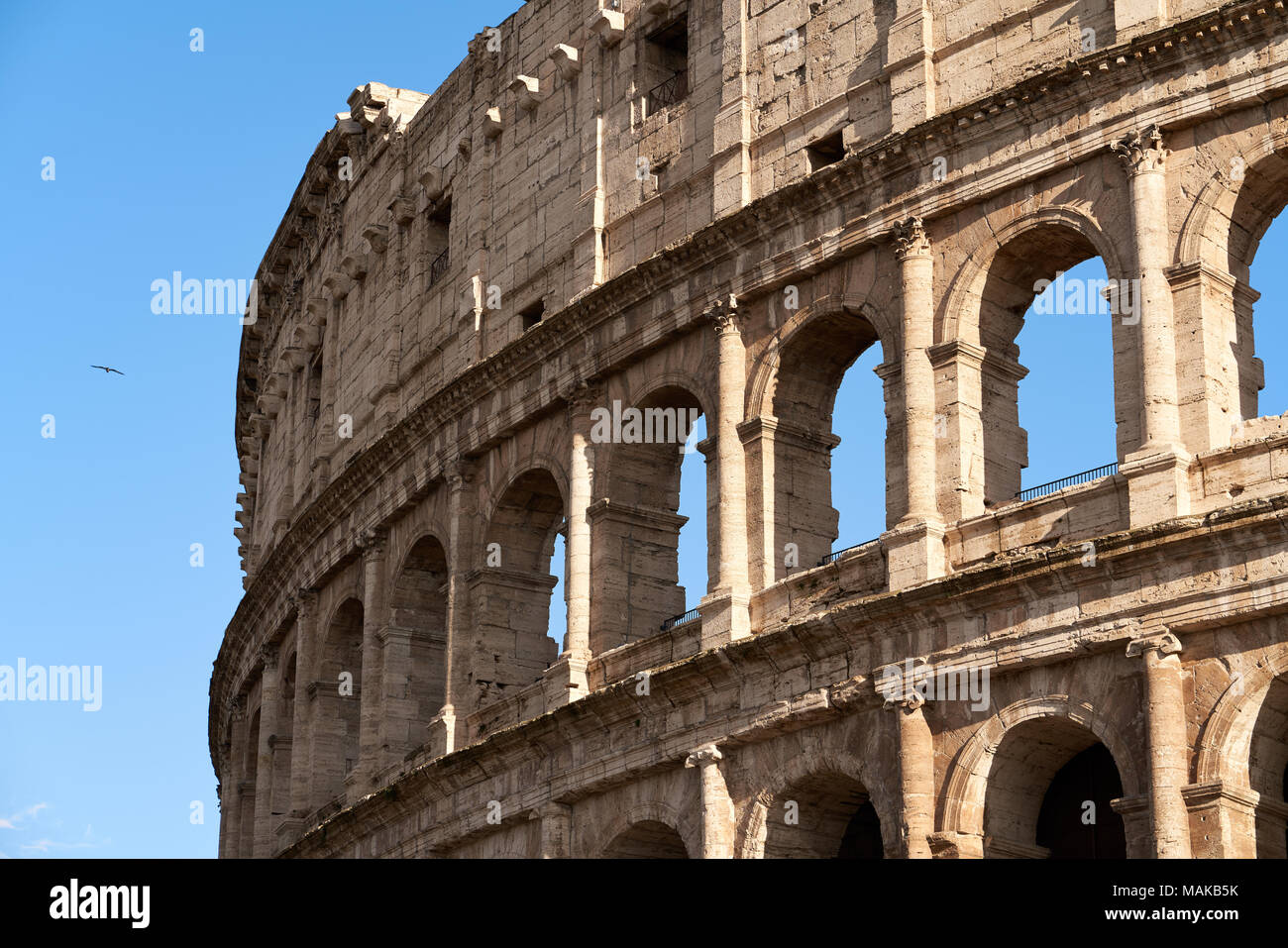 Closeup and zoom in view of Colosseum in Rome, Italy with a bird flying ...