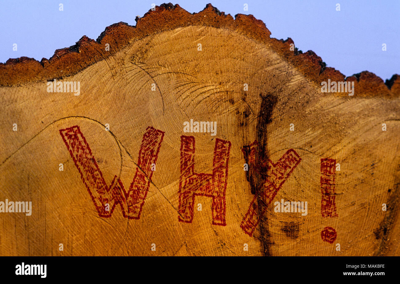 Ancient woodland uk deforestation hi-res stock photography and images ...