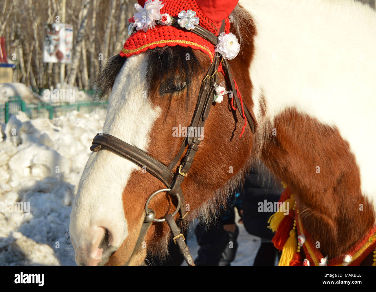 Horse hood ornament hi-res stock photography and images - Alamy