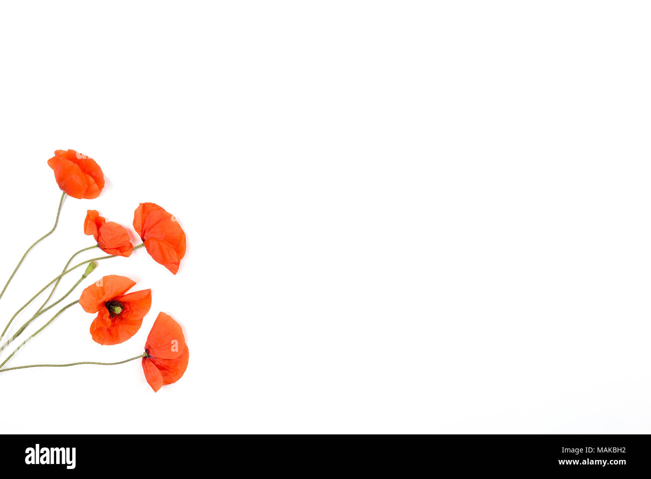 Beautiful poppies on meadow Cut Out Stock Images & Pictures - Alamy