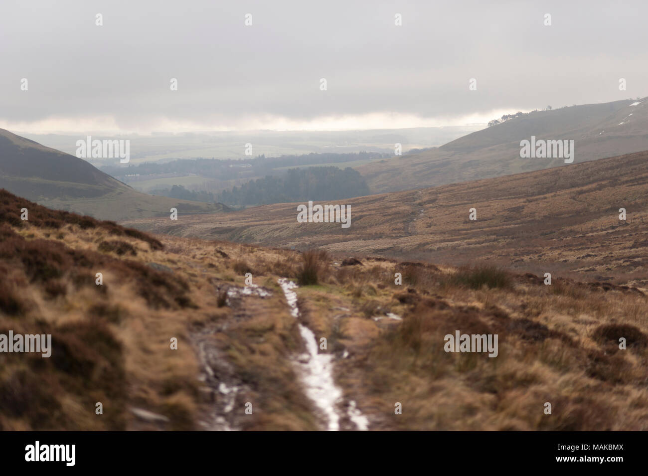 Environment path pathway hi-res stock photography and images - Alamy