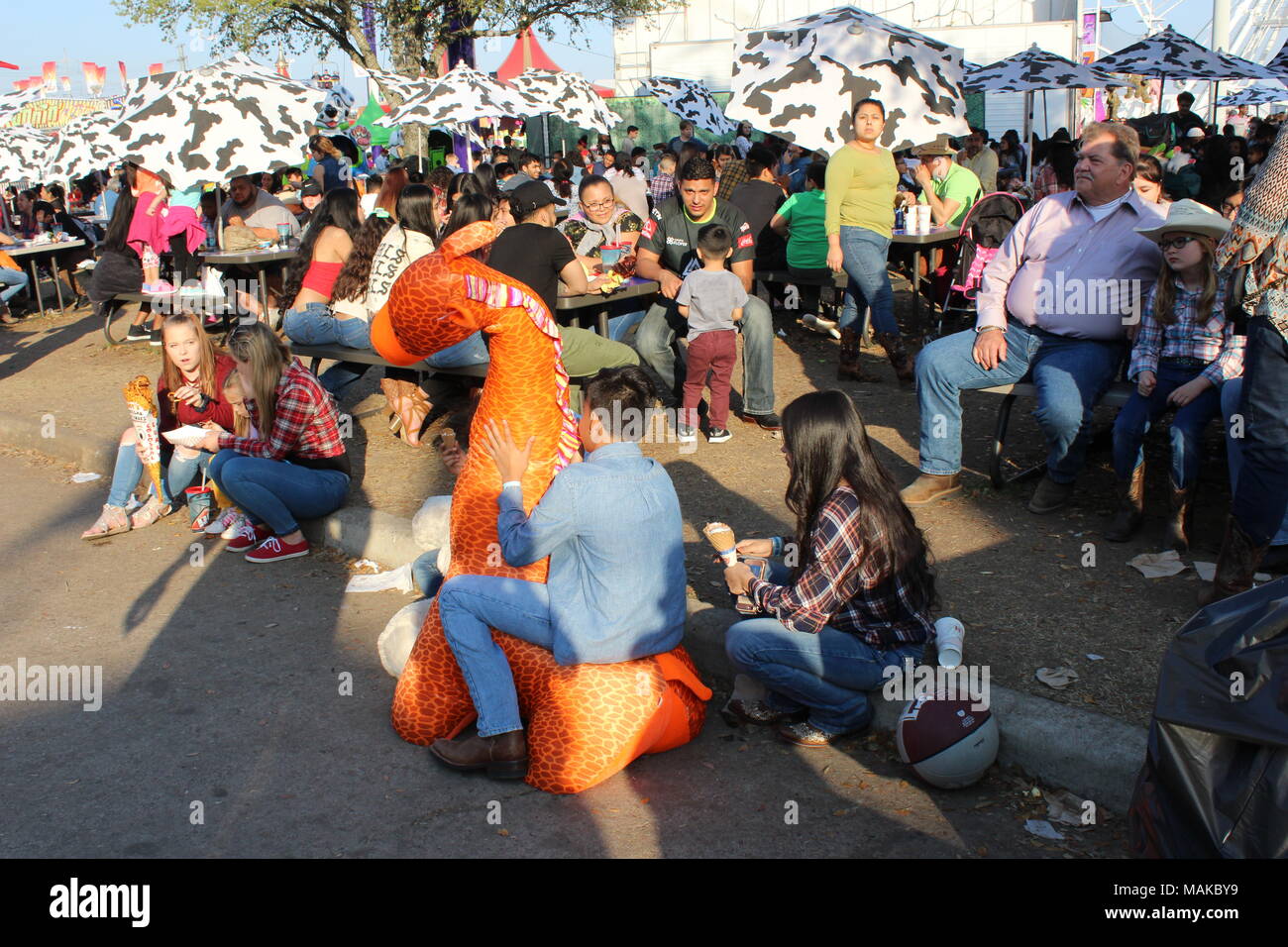 Houston livestock show and rodeo hi-res stock photography and images ...