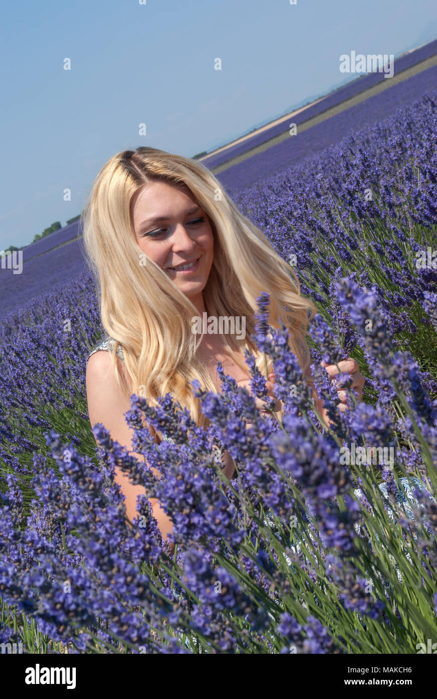 Lavender woman hi-res stock photography and images - Alamy