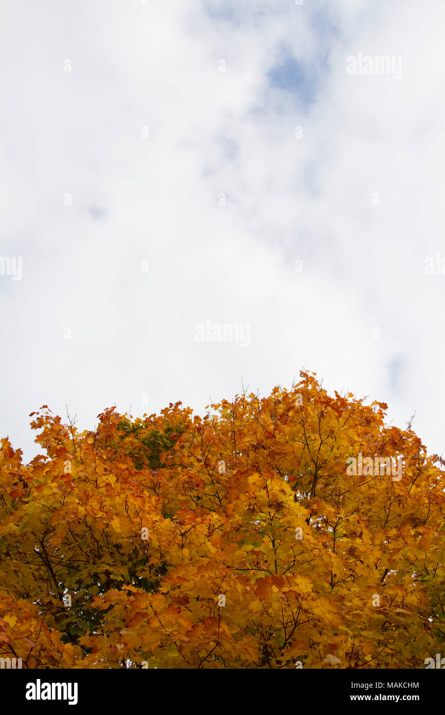 Passing autumnal clouds hi-res stock photography and images - Alamy