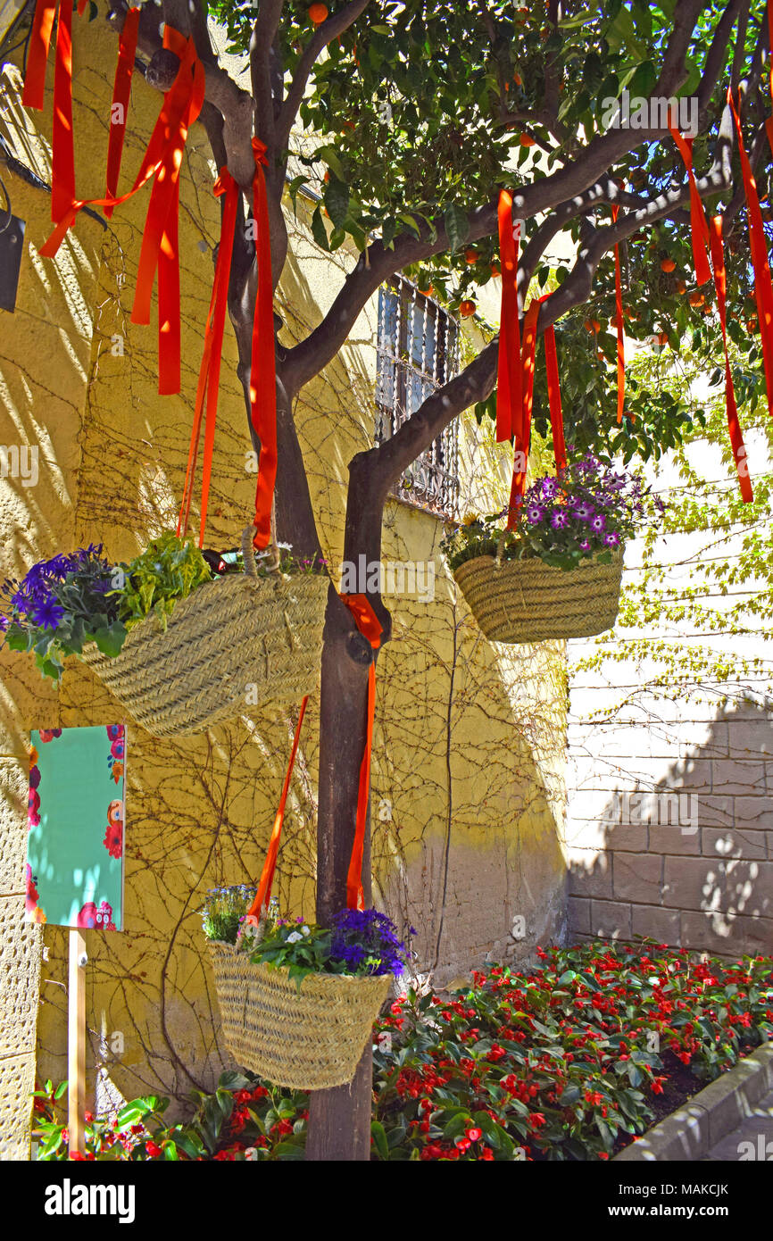 From flower to flower, in the Spanish town of Barcelona Stock Photo - Alamy