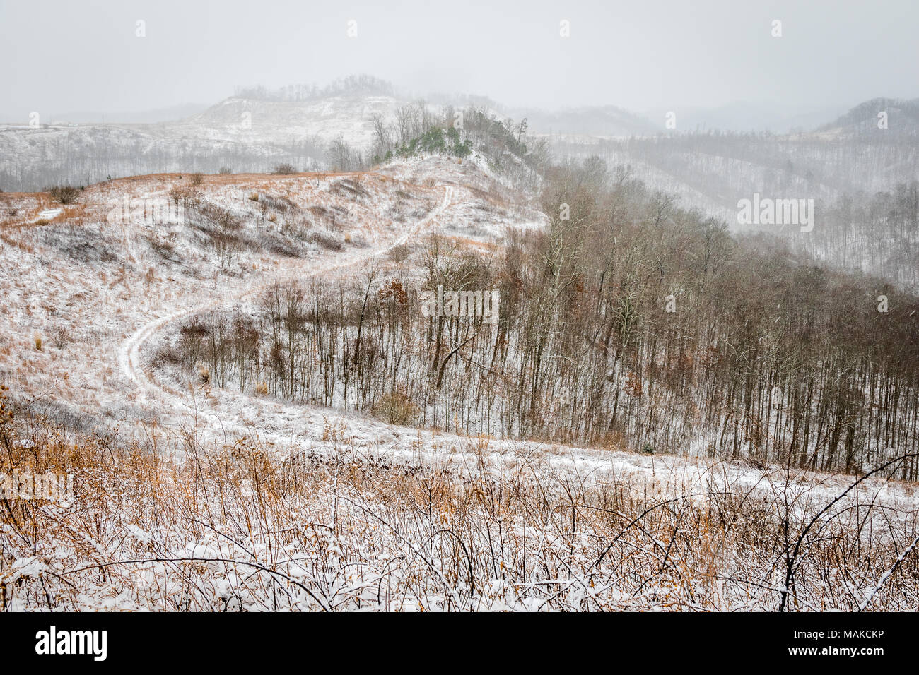 A thin later of snow covers a reclaimed coal mining site in Appalachia ...