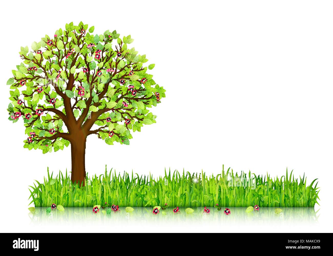 Garden tree flowers grass Stock Vector Images - Alamy