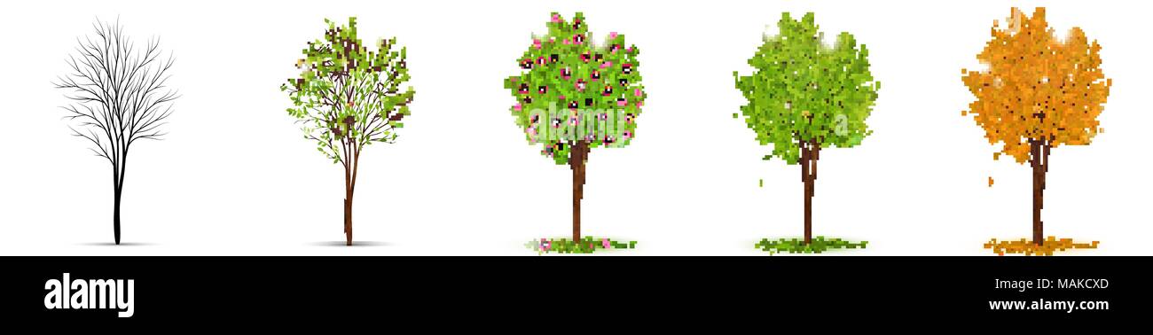 Seasons of tree vector background Stock Vector Image & Art - Alamy