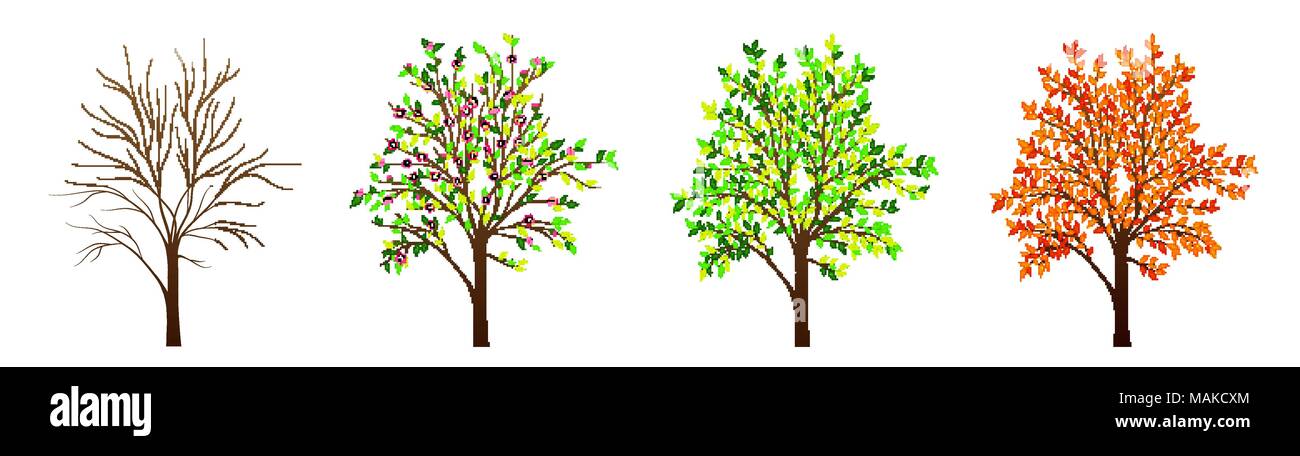 Four seasons tree hi-res stock photography and images - Alamy