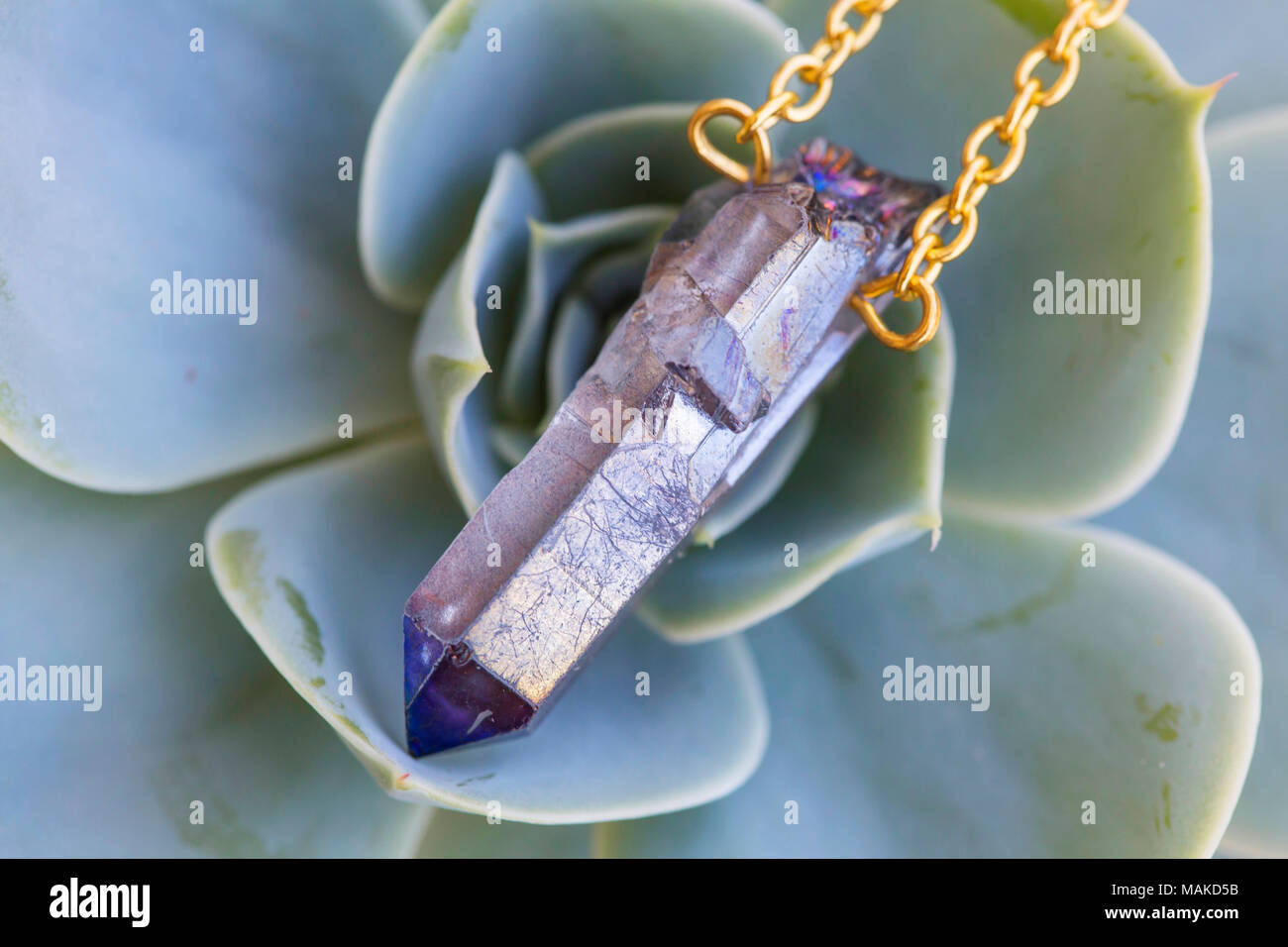 Natural shape of crystal quartz stone pendant on houseleek background ...