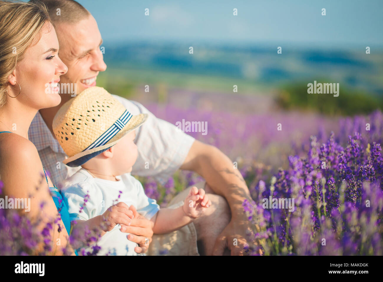 Lavender family hi-res stock photography and images - Alamy