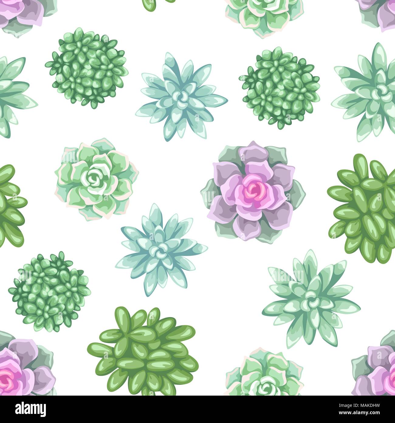 Seamless pattern with succulents. Echeveria, Jade Plant and Donkey ...