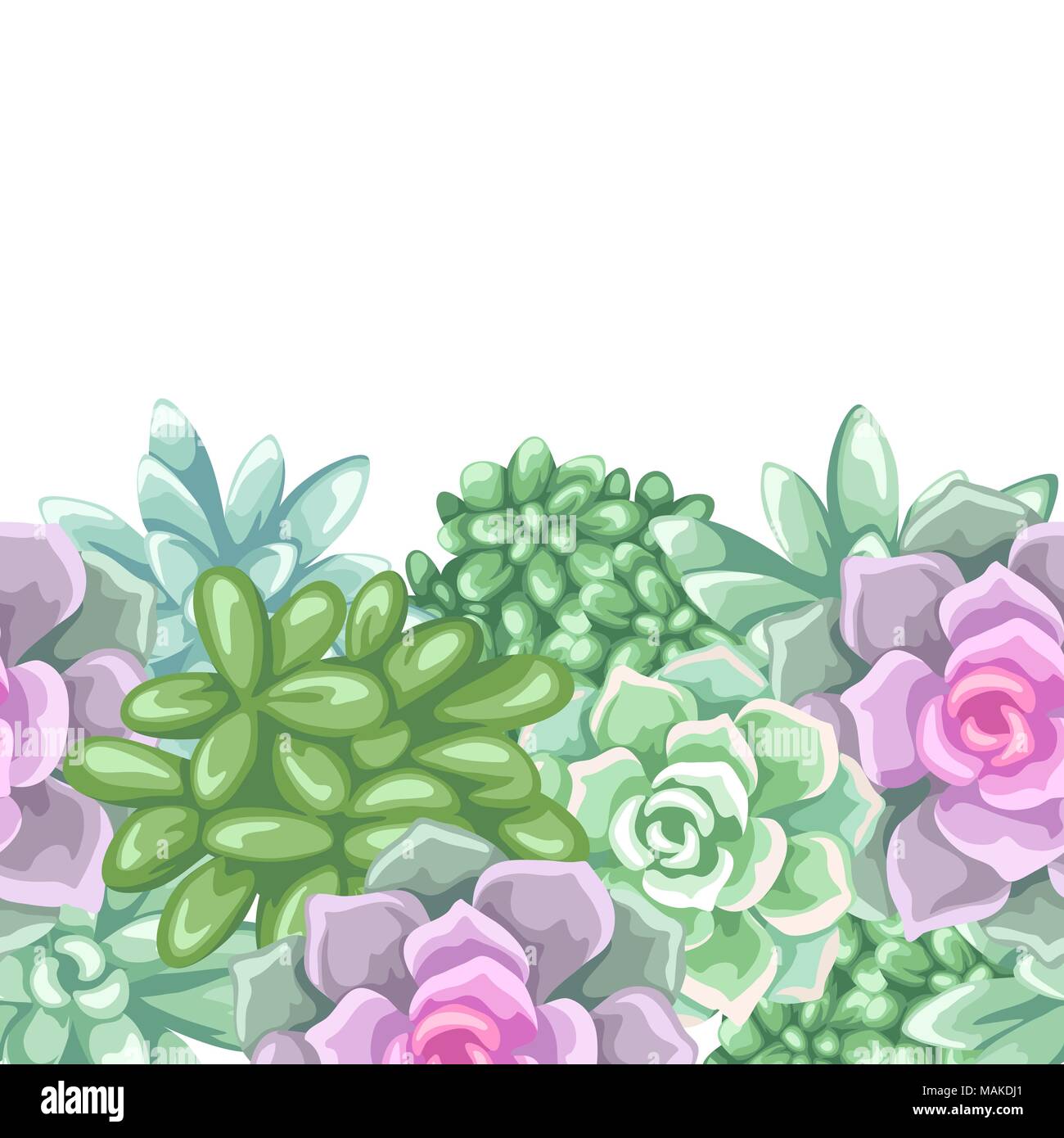 Seamless pattern with succulents. Echeveria, Jade Plant and Donkey ...