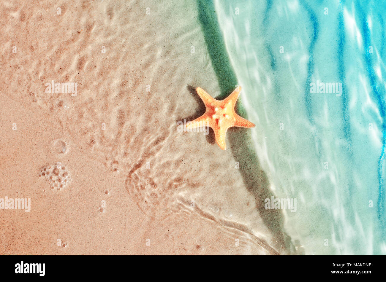 Starfish on the summer beach in sea water. Summer background. Summer ...
