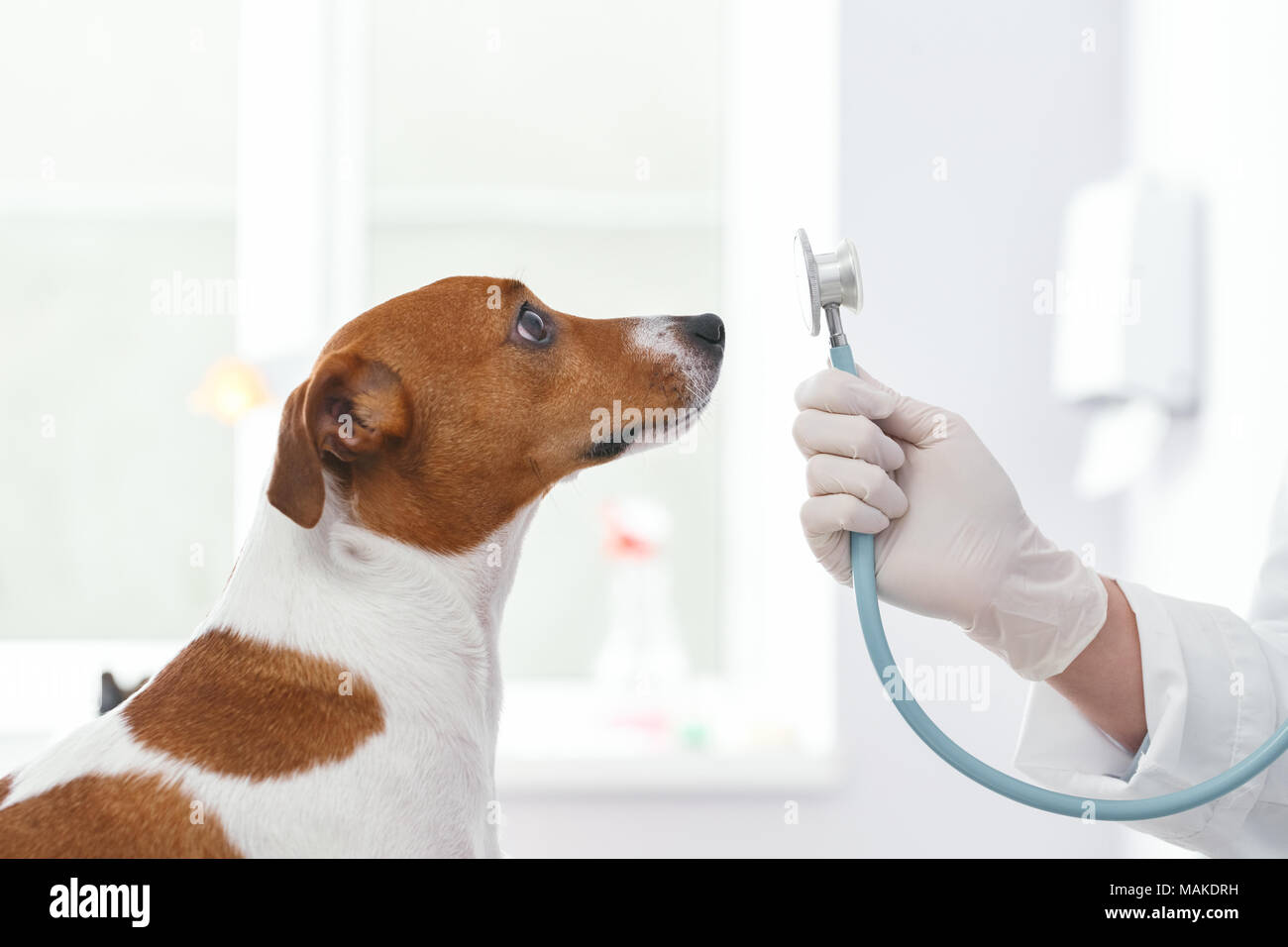 Scared Of Dog High Resolution Stock Photography and Images - Alamy