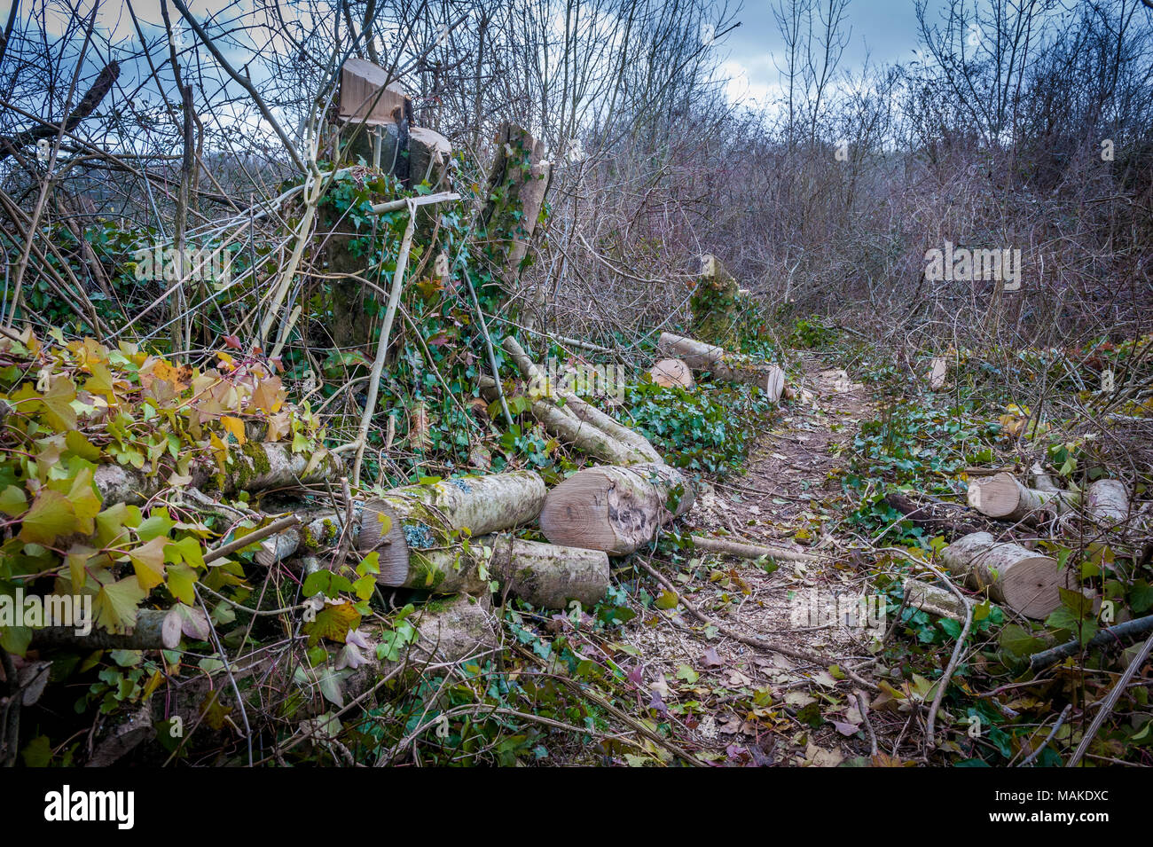 Footpath maintenance, South Wales Stock Photo - Alamy