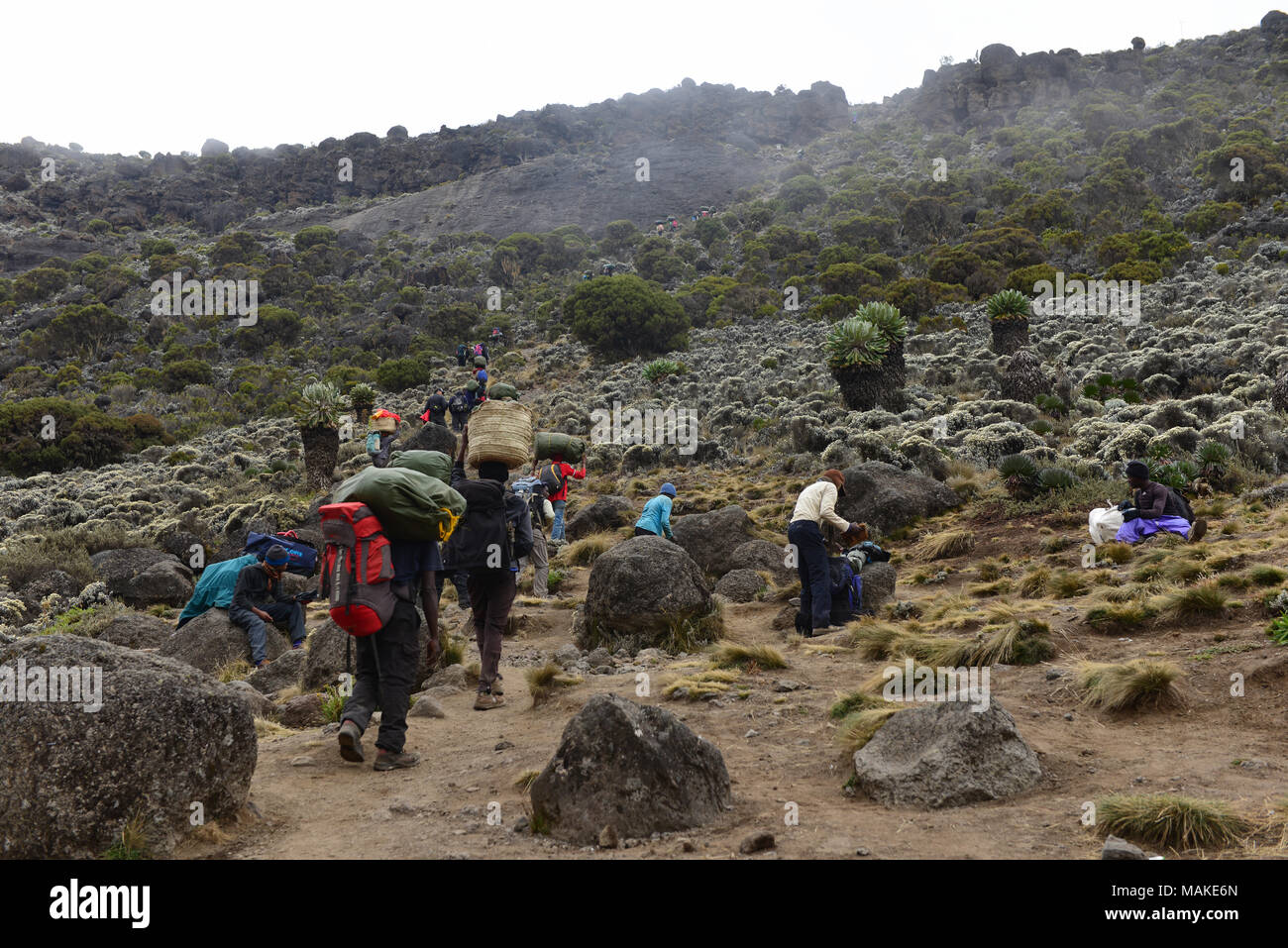 Taking a rest Stock Photo - Alamy