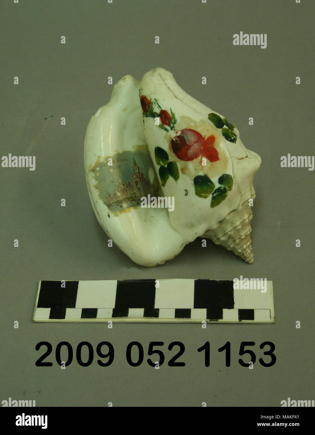 Conch shell has painted roses and a color transfer image of the ...