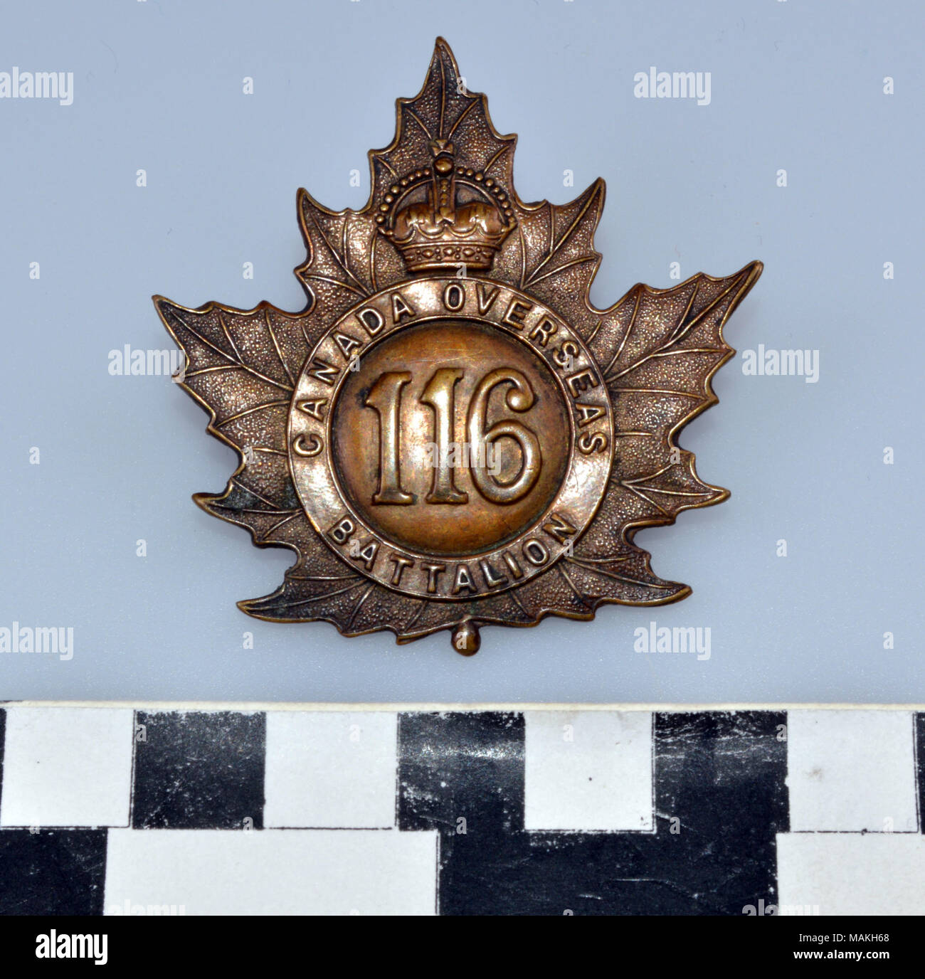 116th canadian infantry hi-res stock photography and images - Alamy