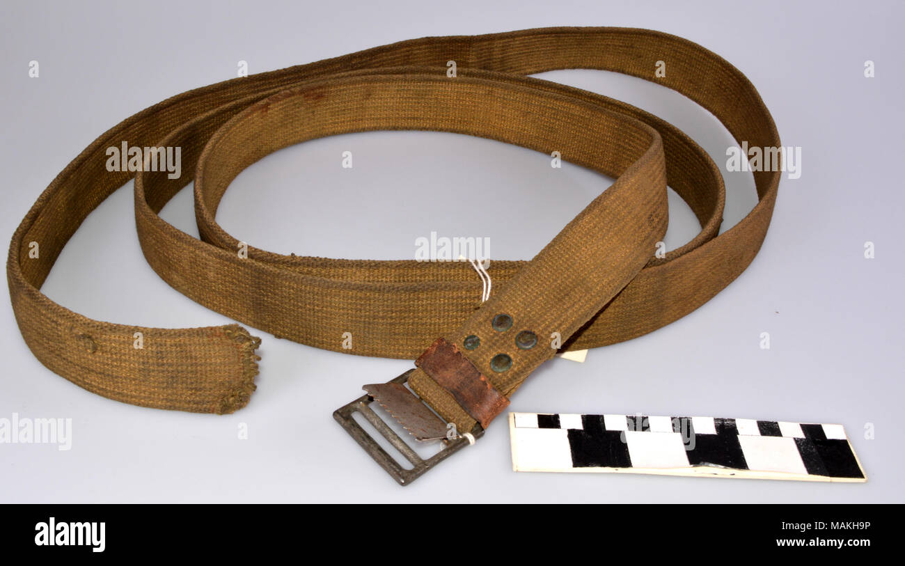 Olive drab hi-res stock photography and images - Alamy