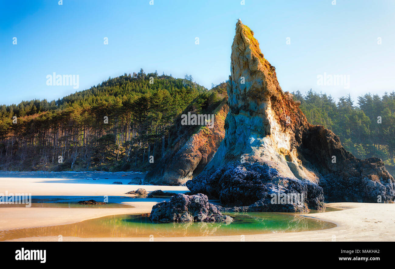 Rocks water on arcadia beach hi-res stock photography and images - Alamy
