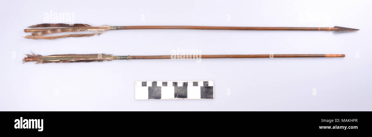 A pair of Native American arrows with metal points and green pigment ...