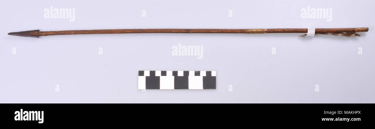 Sioux arrow collected by naturalist and taxidermist Charles K. Worthen ...