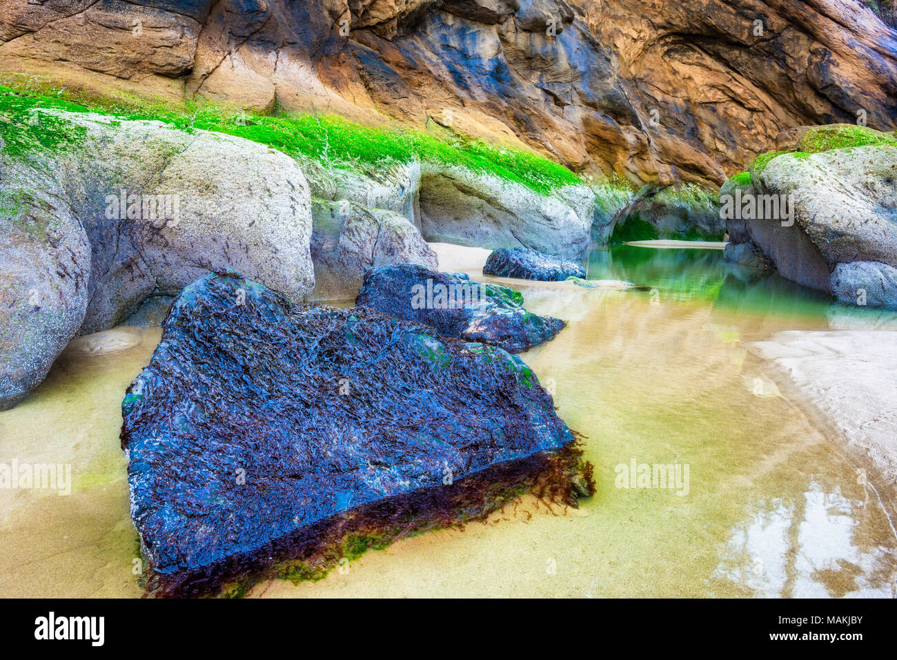 Mediitative hi-res stock photography and images - Alamy