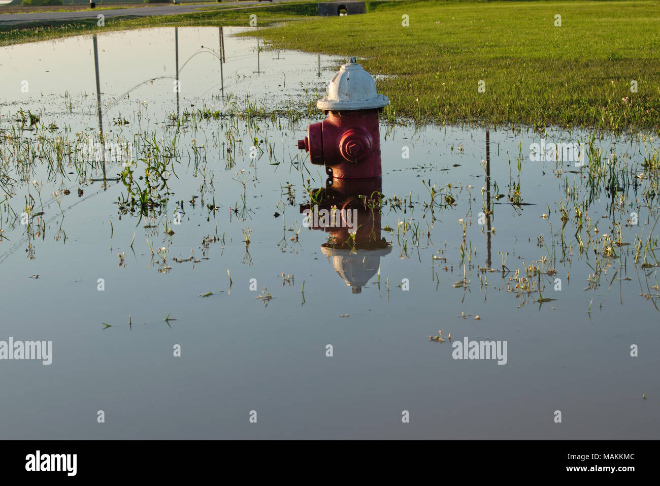 Fire hydrant half covered with water in flooded area Stock Photo - Alamy