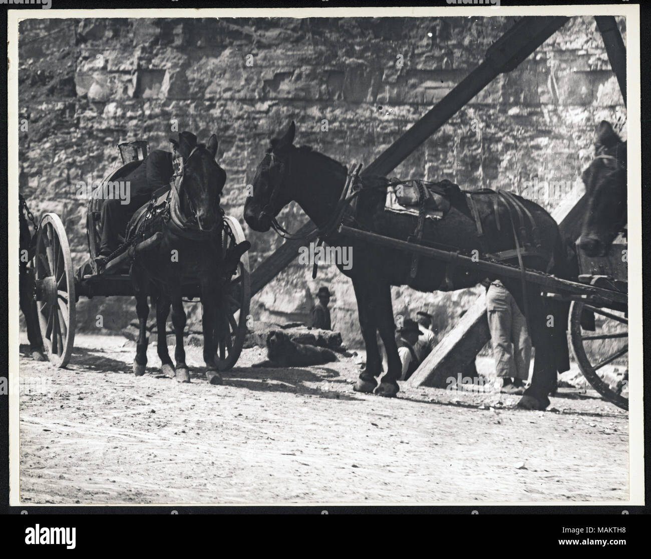 Horizontal, black and white photograph of two horse-drawn wagons at a ...