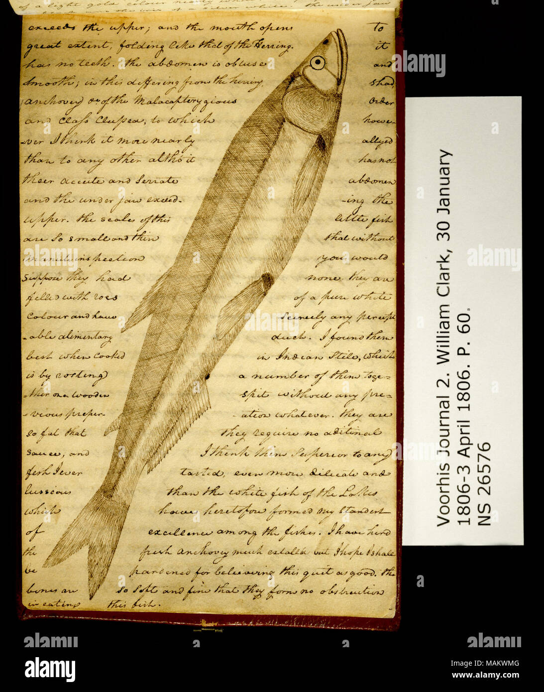 Great extent hi-res stock photography and images - Alamy