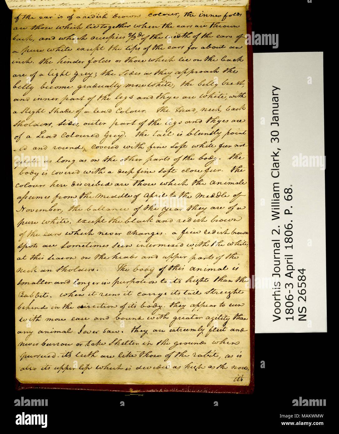 William redish hi-res stock photography and images - Alamy