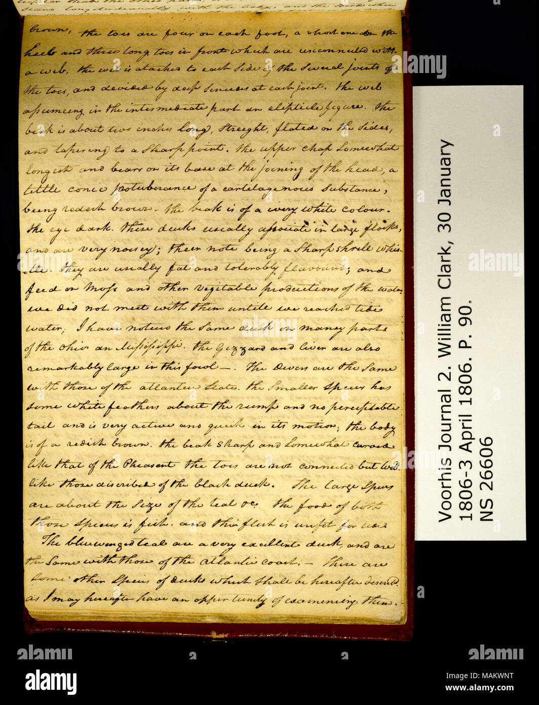 Three toes hi-res stock photography and images - Alamy