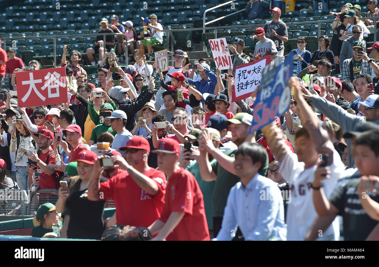 Shohei ohtani fans hi-res stock photography and images - Alamy