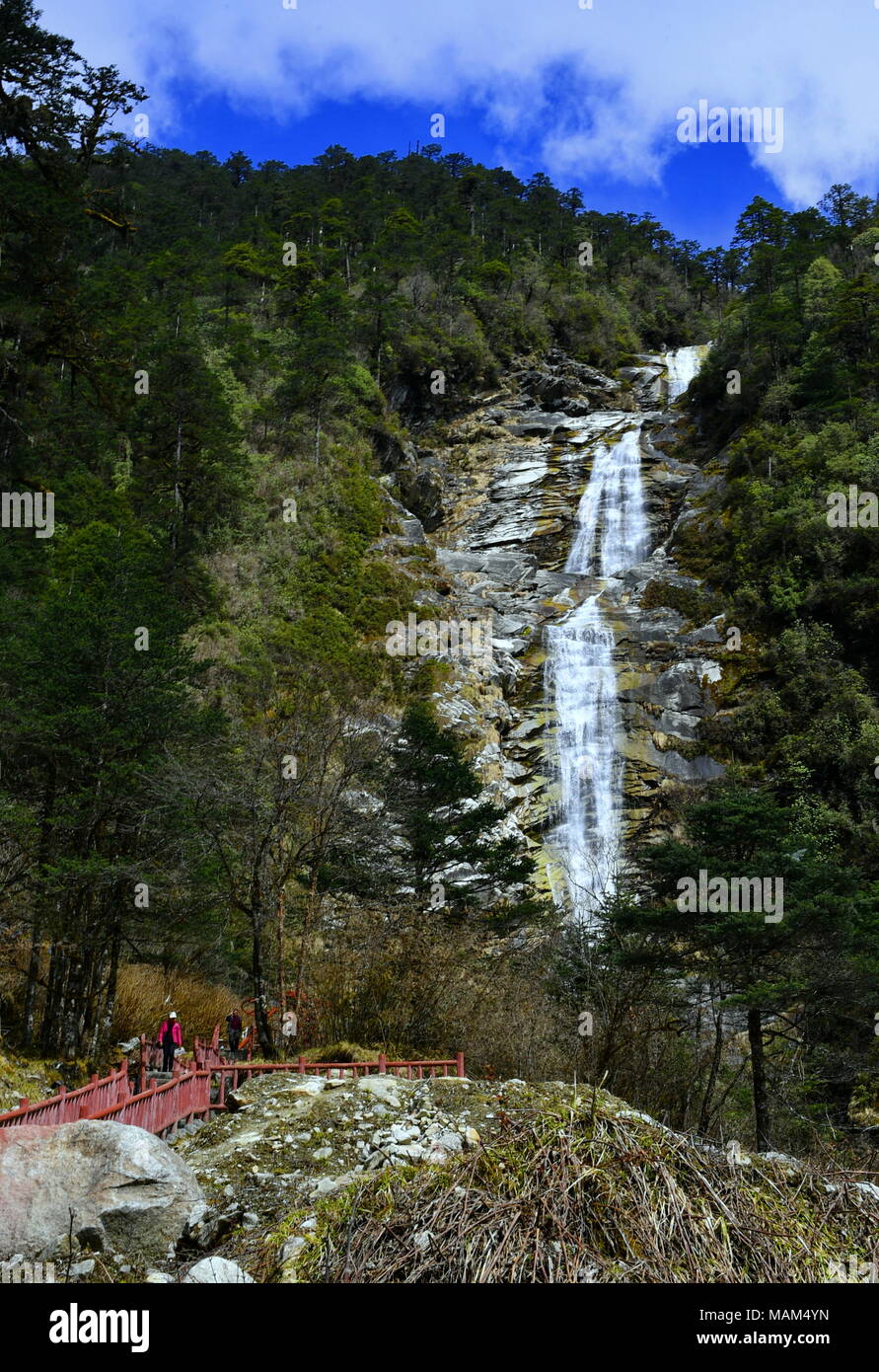Medog. 1st Apr, 2018. Photo taken on April 1, 2018 shows the spring ...