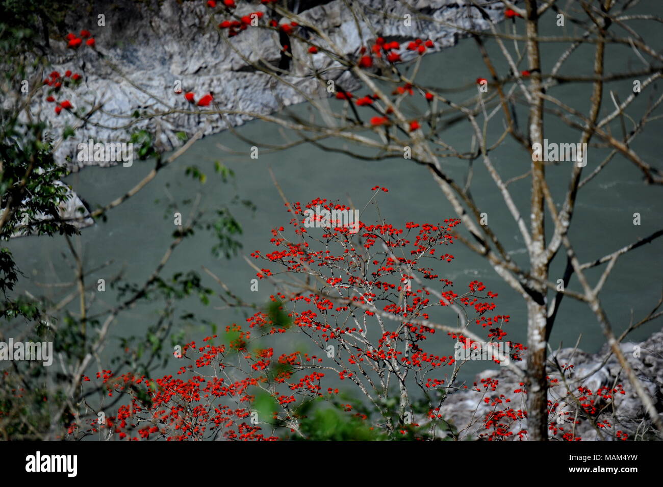 Medog tibet hi-res stock photography and images - Alamy