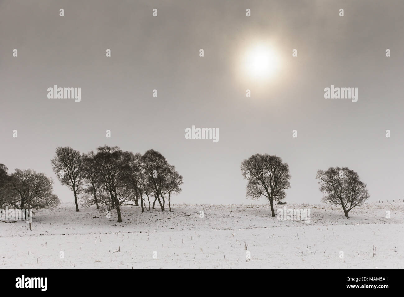 Thin sun hi-res stock photography and images - Alamy