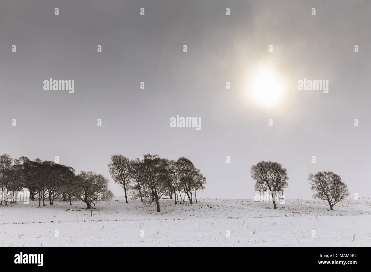 Thin sun hi-res stock photography and images - Alamy