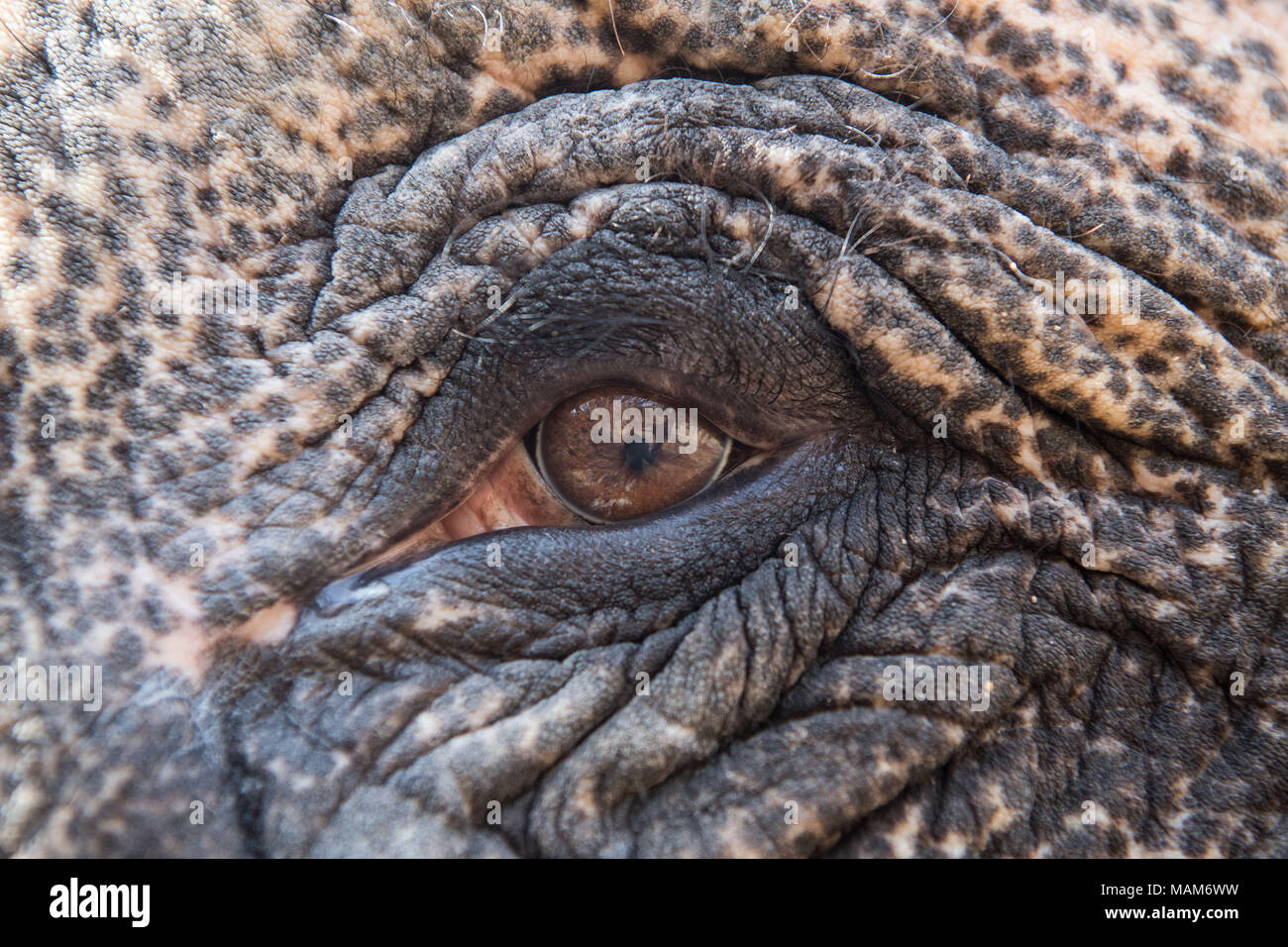 Kui Buri National Park High Resolution Stock Photography and Images - Alamy