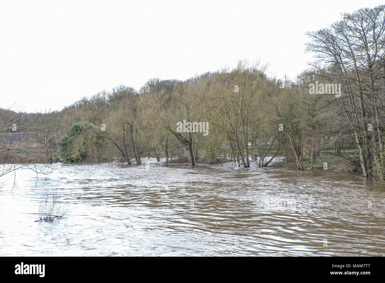 Doncaster, UK. 03rd Apr, 2018. UK Weather: 3rd April 2018, Sprotbrough ...