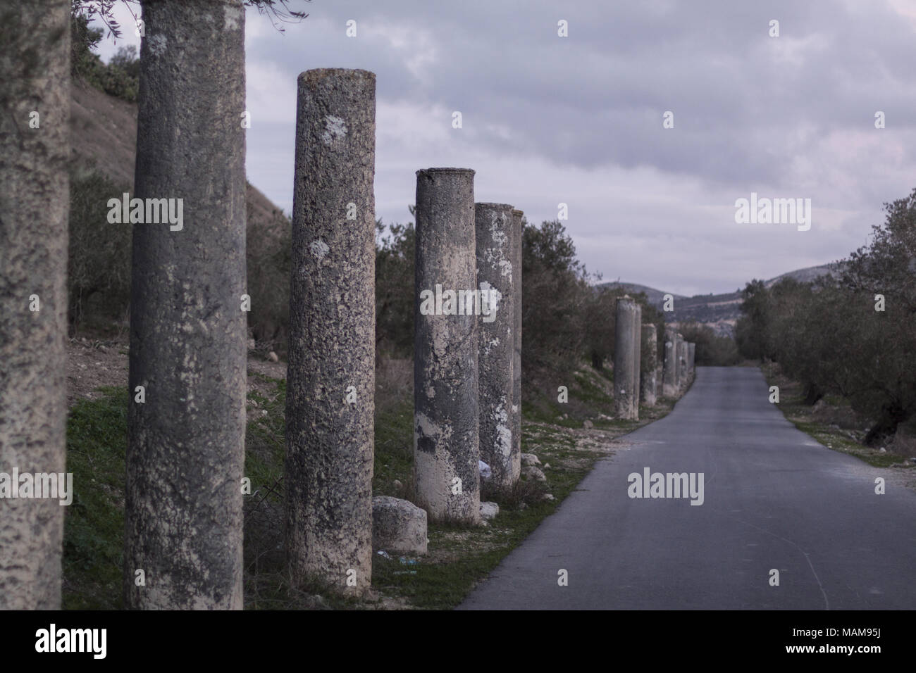 January 26, 2017 - Sabastia, Nablus, West Bank - Ruins of the ancient ...